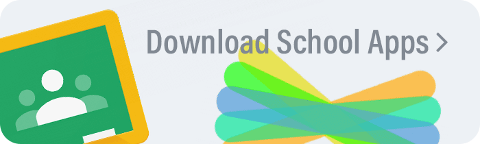 Fairfield School Levin